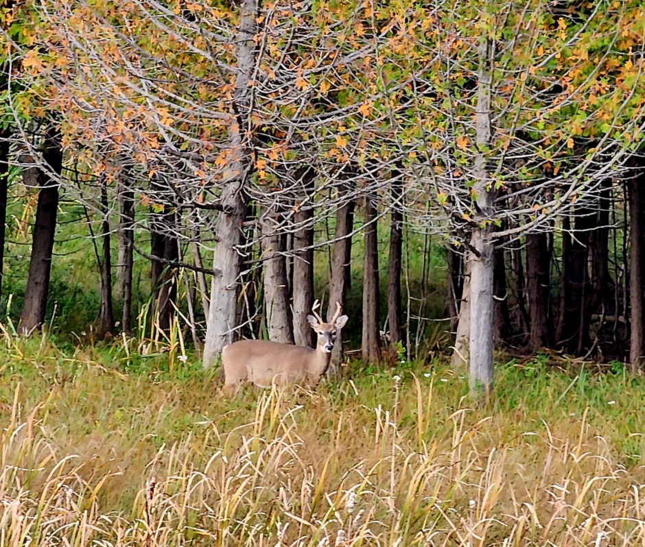 Outdoor Recreation - Coldwater Country